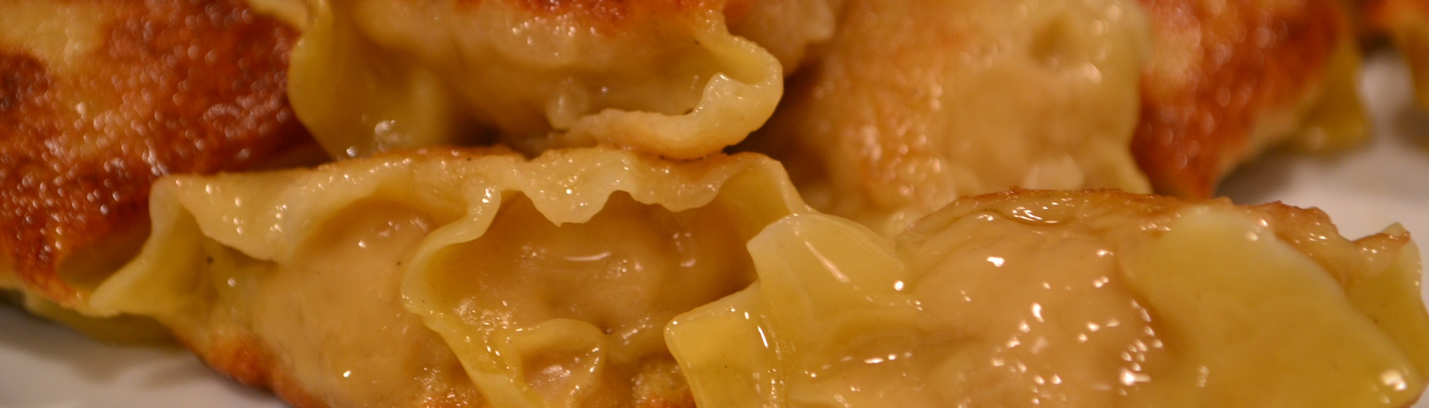 Chinese Chicken and Prawn Pot Stickers – The Bicycle Thief